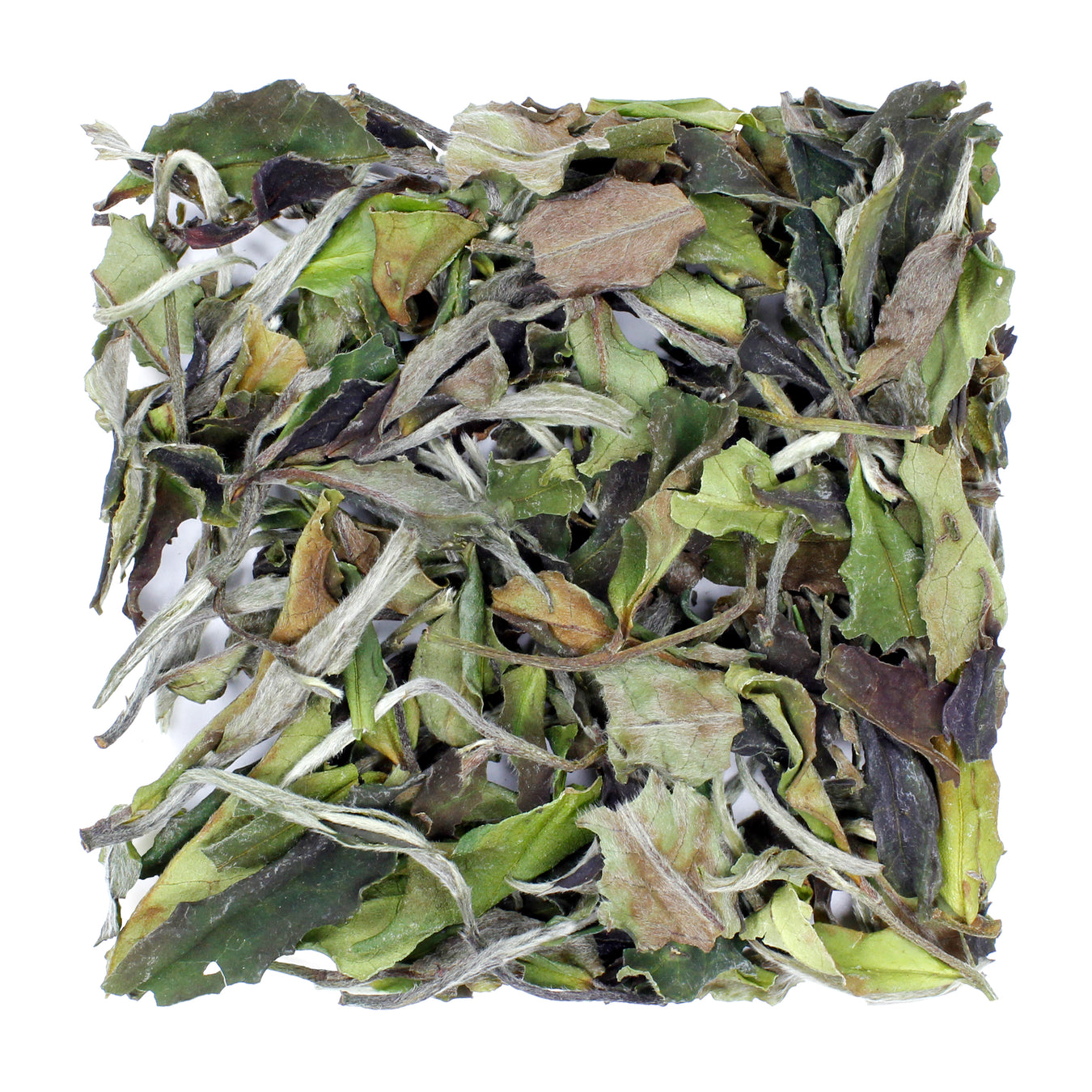 Single Origin Tea - Buy Loose Leaf Tea, Teaware, and Gifts Online – In ...