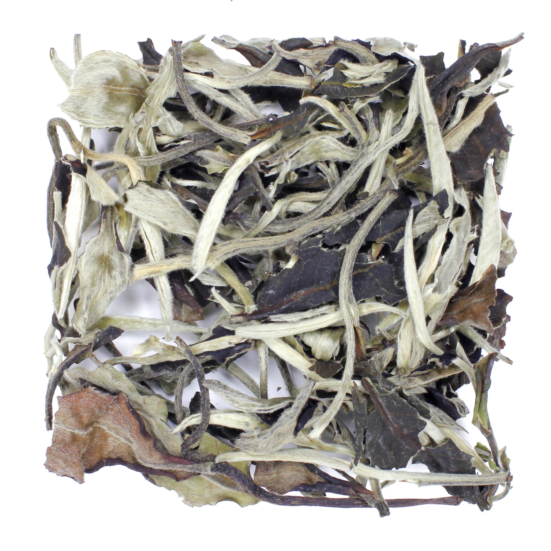 Single Origin Tea - Buy Loose Leaf Tea, Teaware, and Gifts Online – In ...