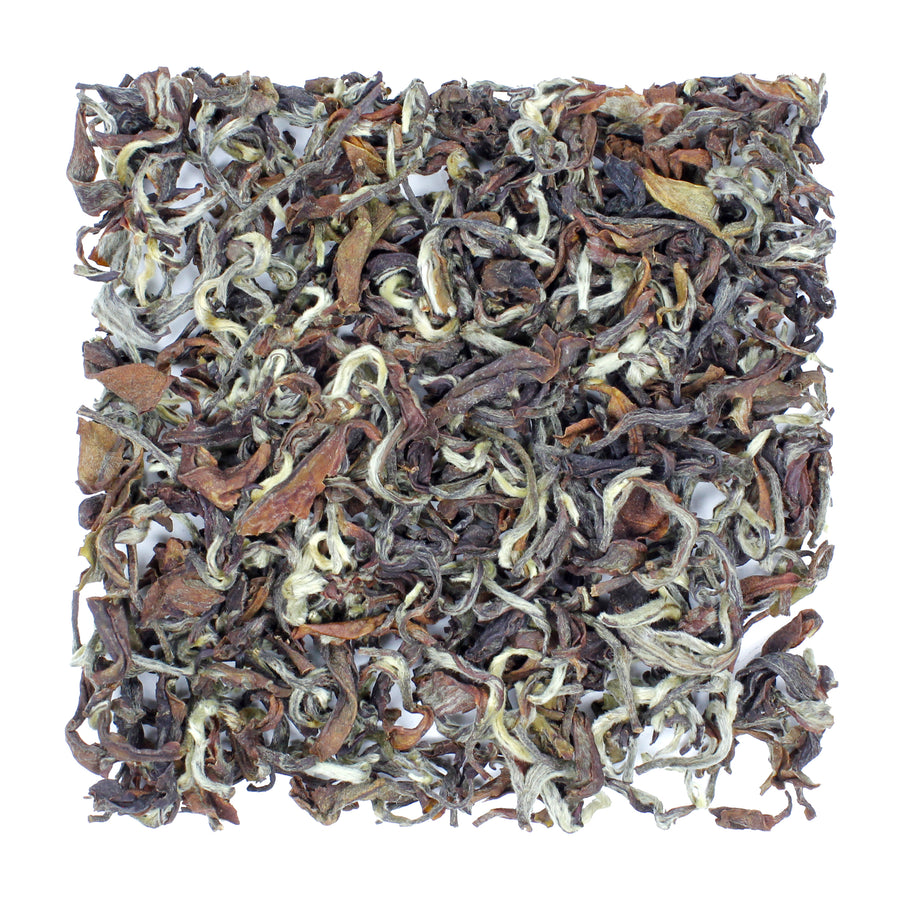 Premium Oolong Tea – In Pursuit of Tea