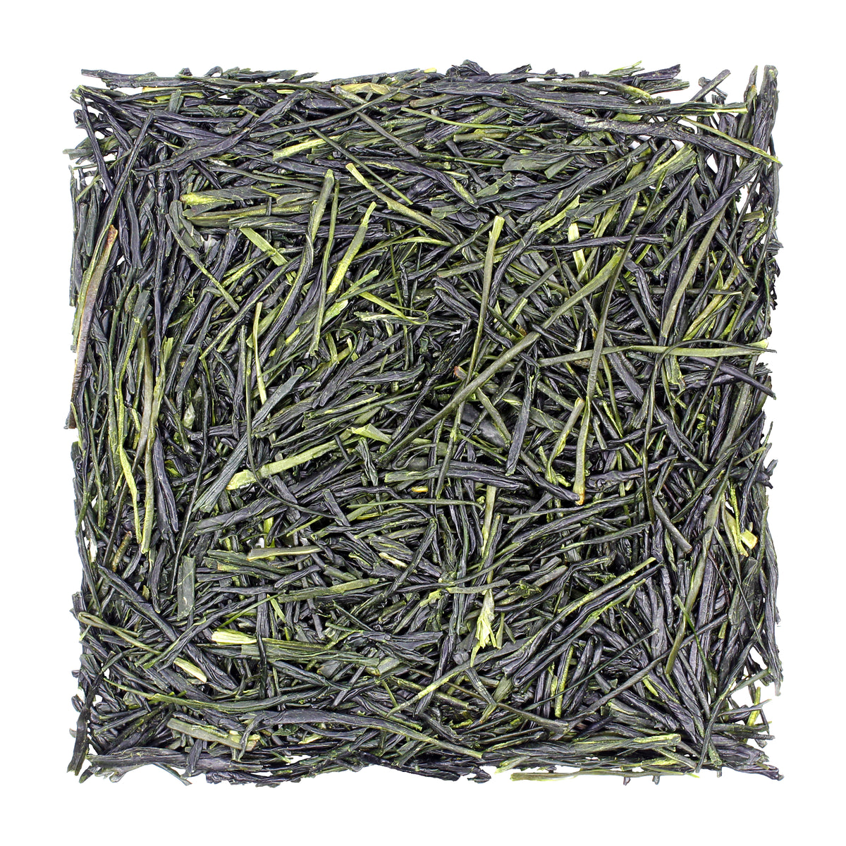 Sencha Midori Kabuse - Shade Grown Green Tea – In Pursuit of Tea