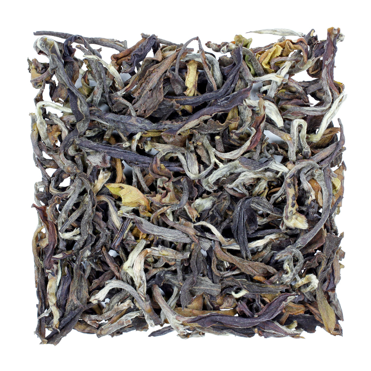 Sikkim 2nd Flush, Bermiok Estate – In Pursuit of Tea