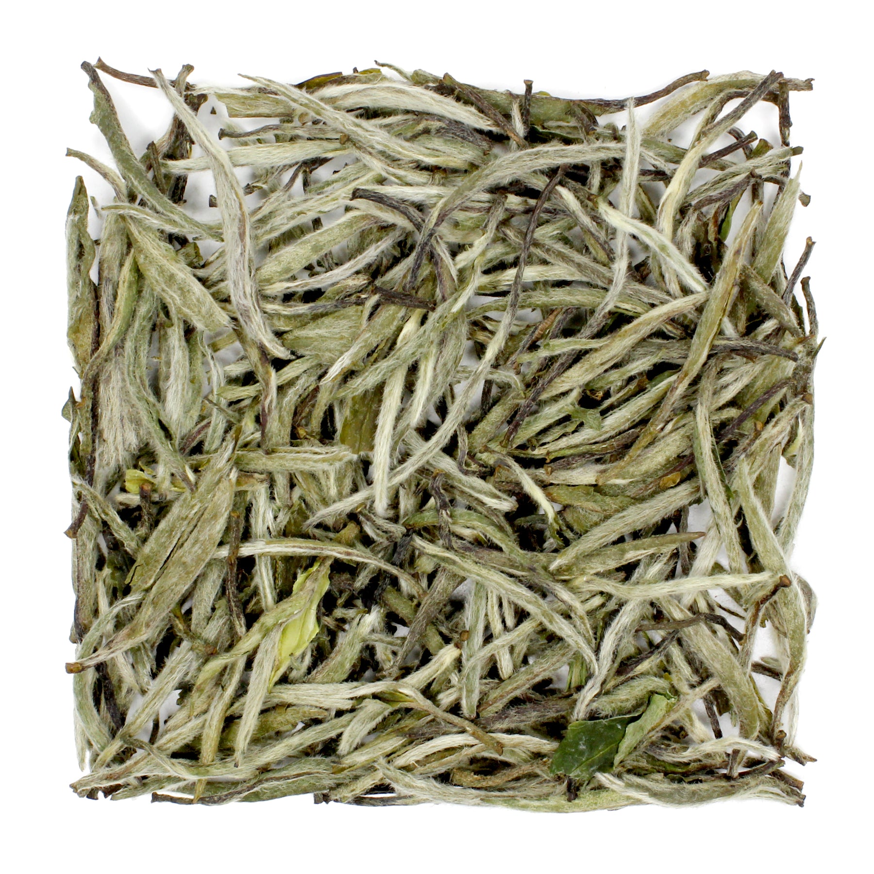 Buy White Tea Online - Premium Loose Leaf Tea - In Pursuit of Tea