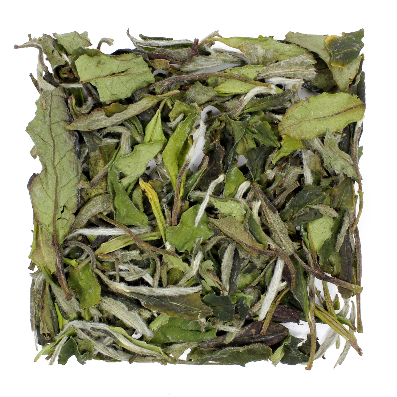 Buy White Tea Online - Premium Loose Leaf Tea - In Pursuit of Tea