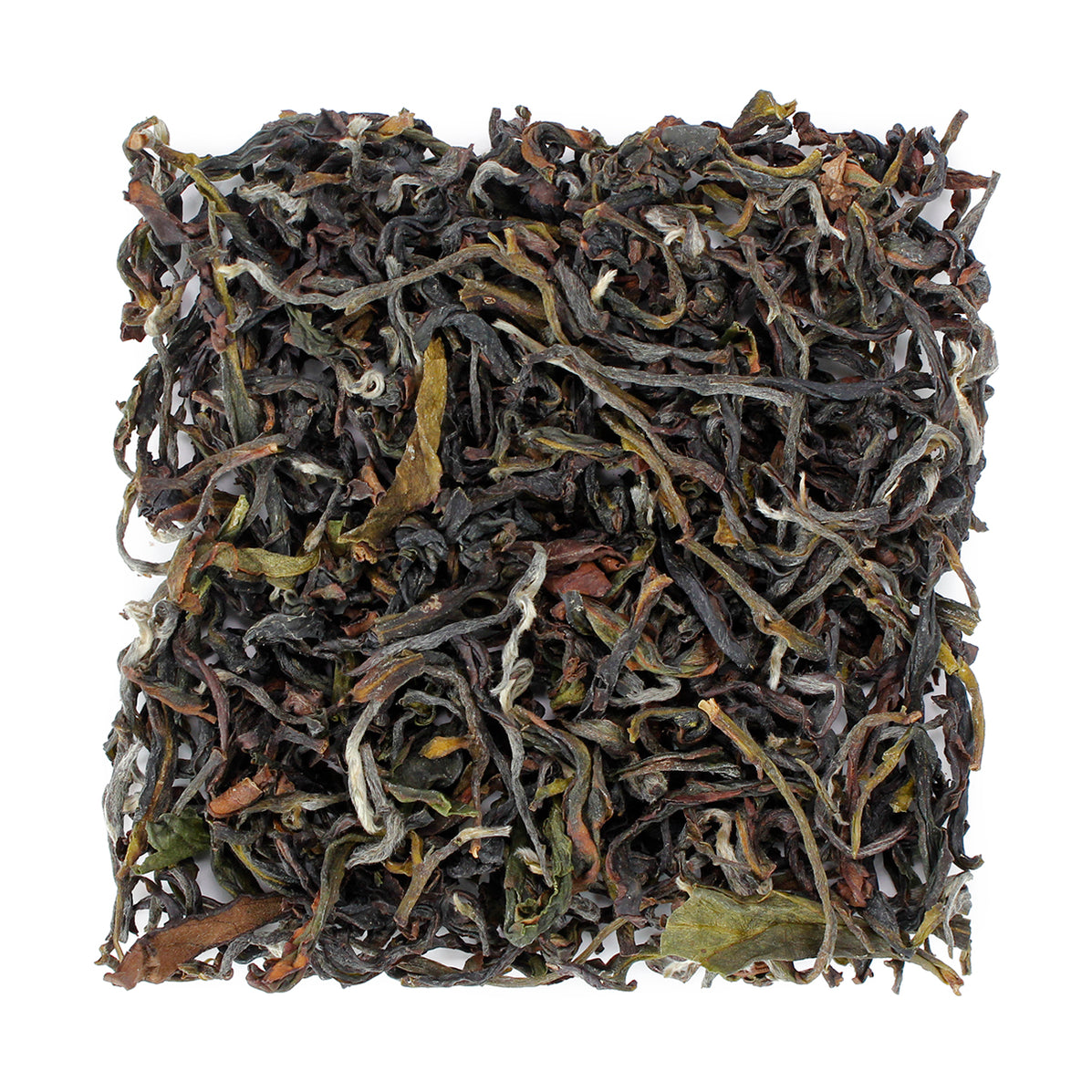 Premium Oolong Tea – In Pursuit of Tea